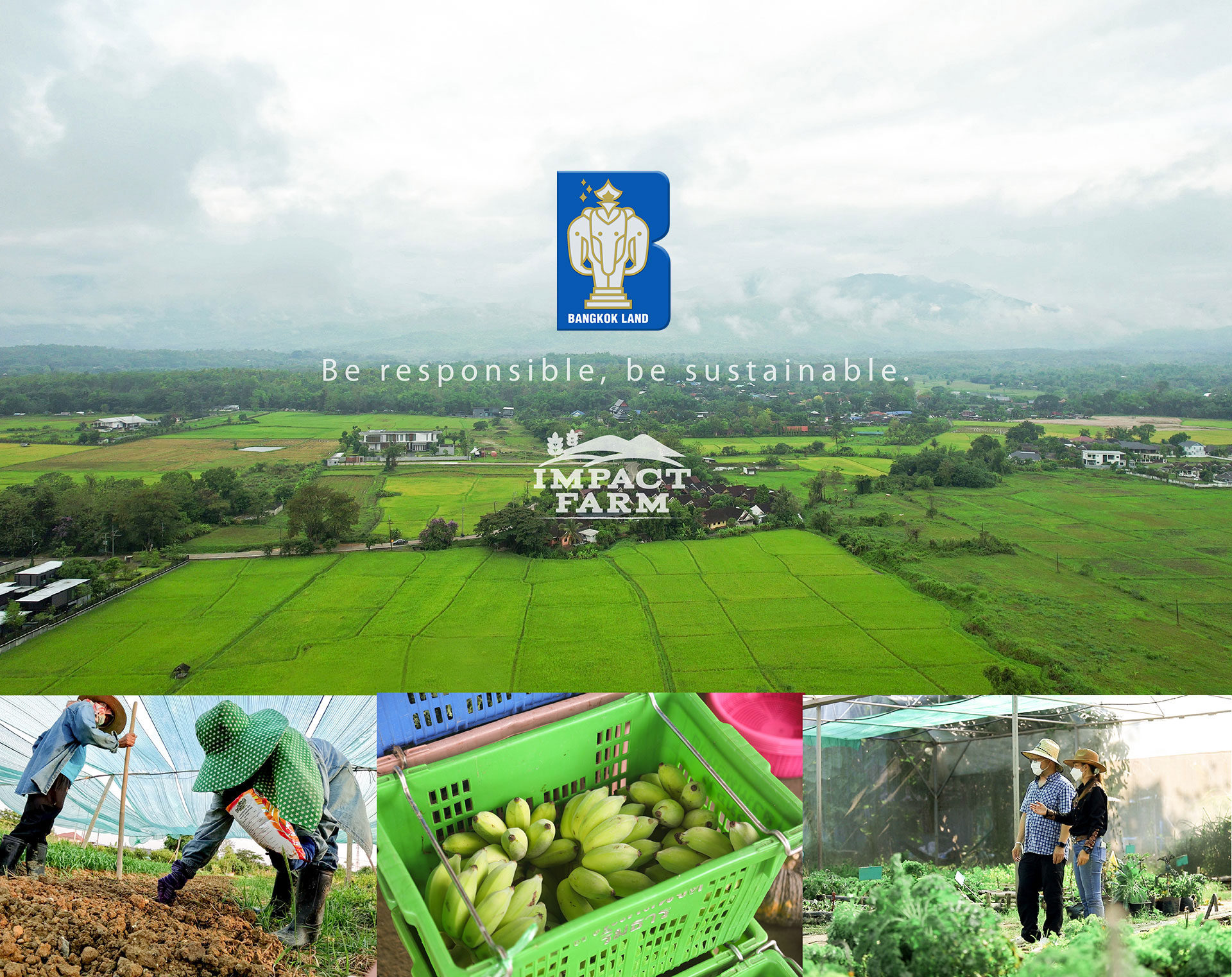 About Us - IMPACT Farm