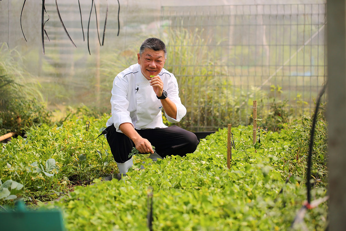 Gallery - IMPACT Farm