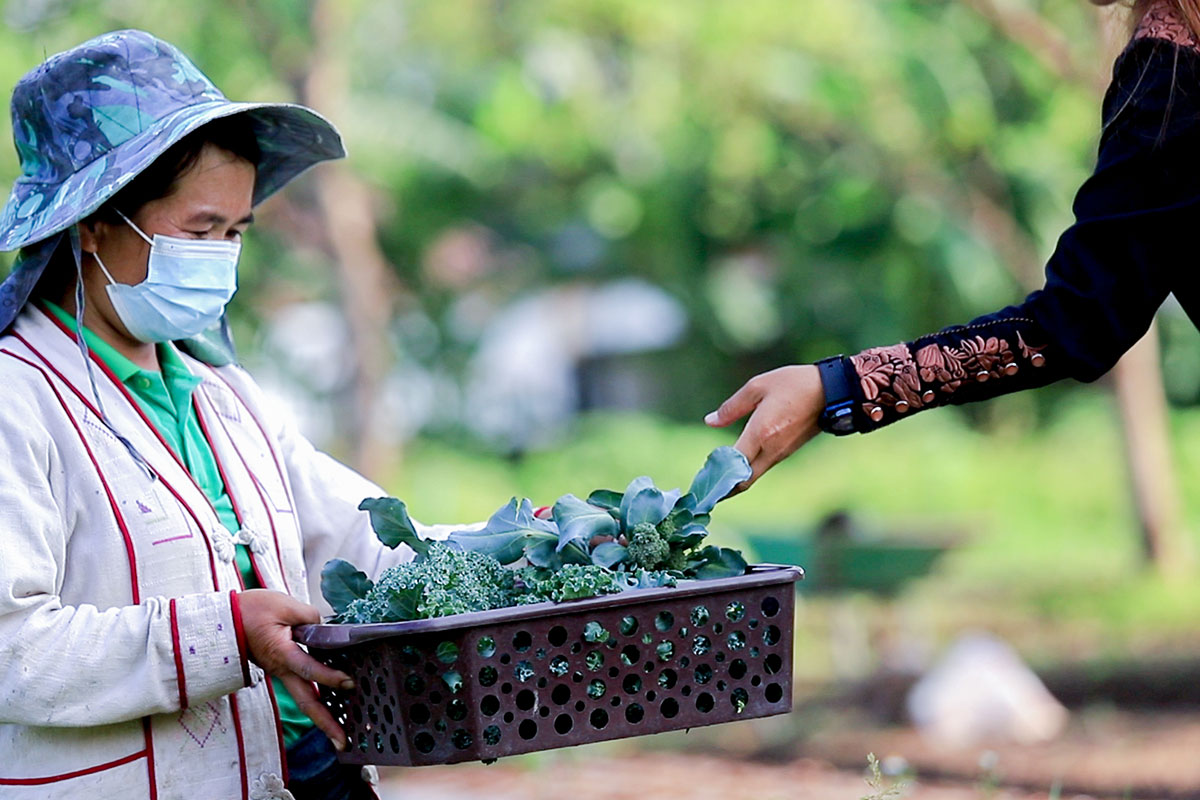 Gallery - IMPACT Farm