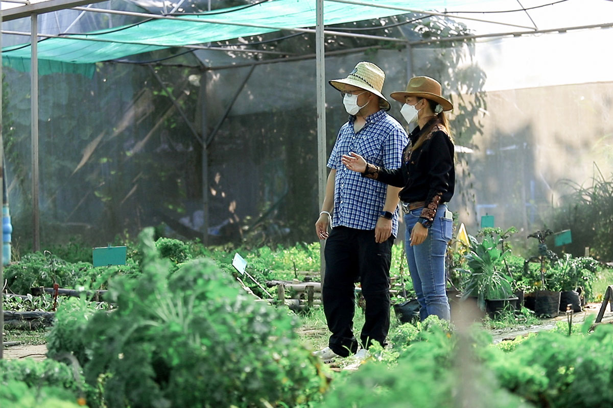 Gallery - IMPACT Farm