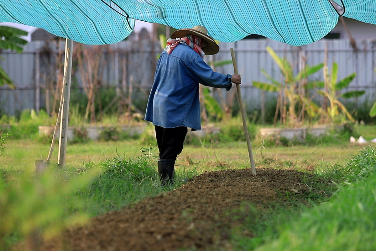 Gallery - IMPACT Farm