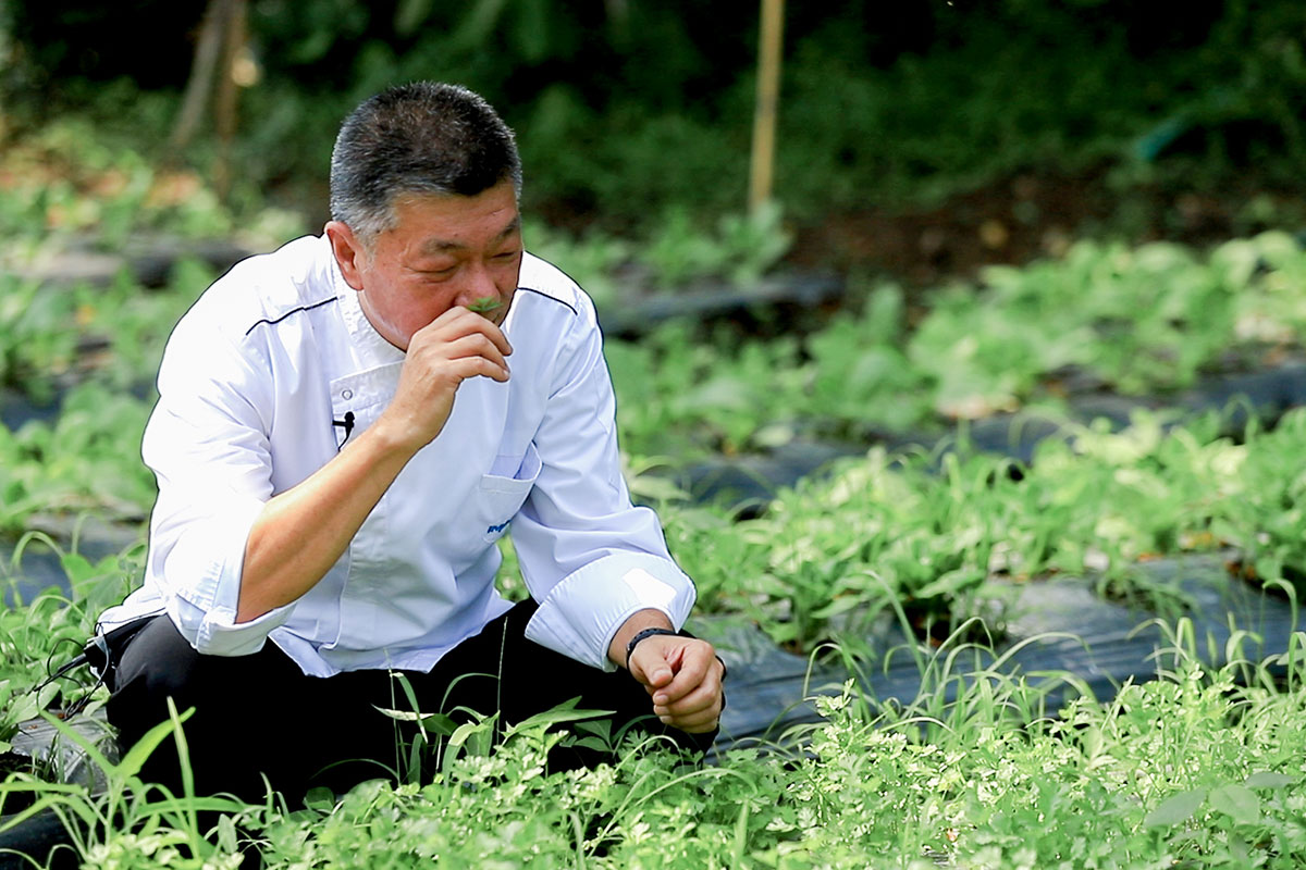 Gallery - IMPACT Farm