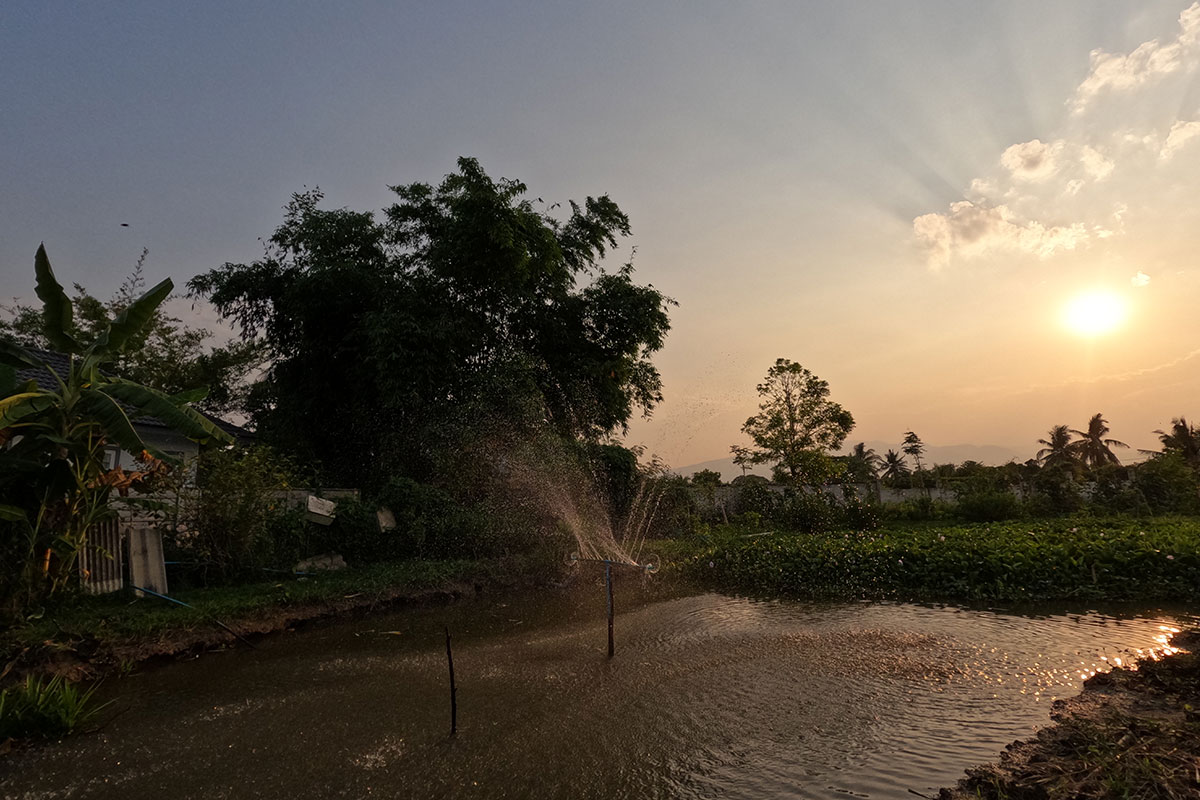 Gallery - IMPACT Farm