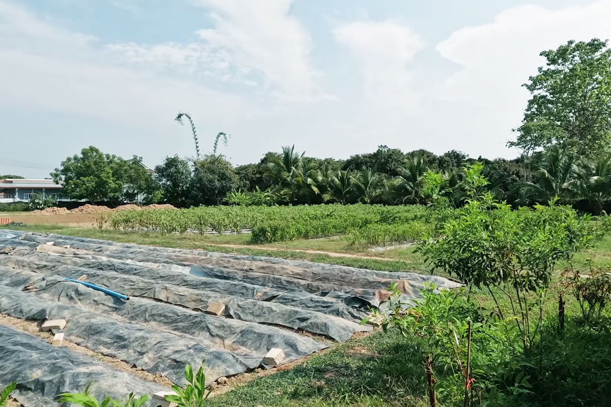 Gallery - IMPACT Farm