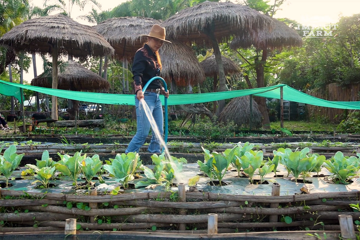 Gallery - IMPACT Farm