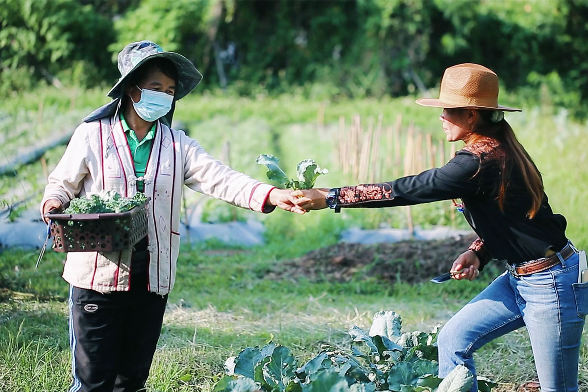 Gallery - IMPACT Farm