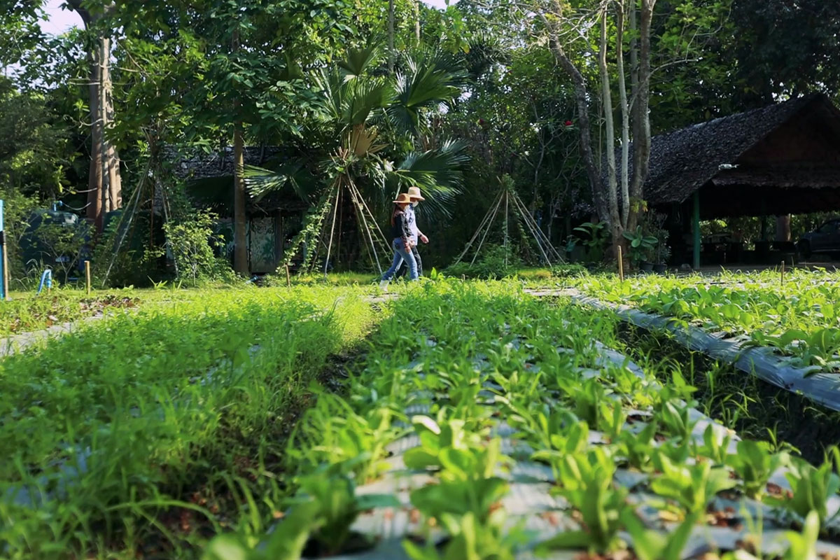 Gallery - IMPACT Farm