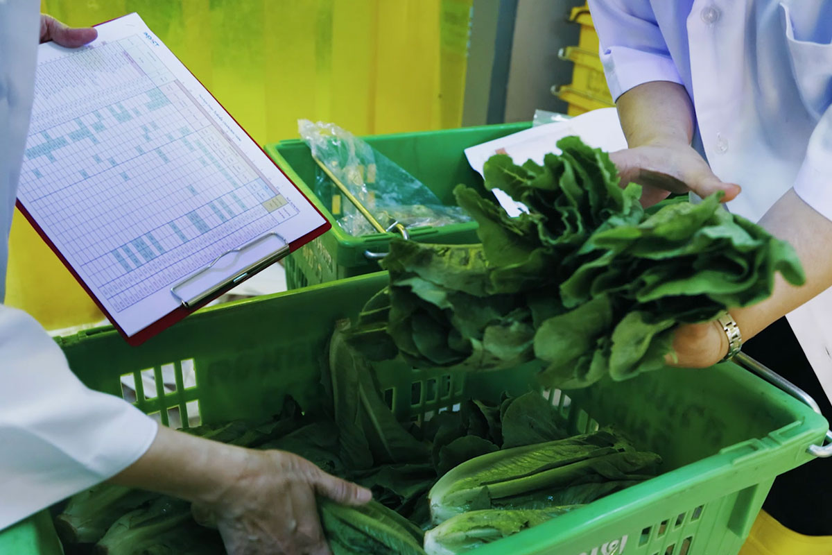 Gallery - IMPACT Farm