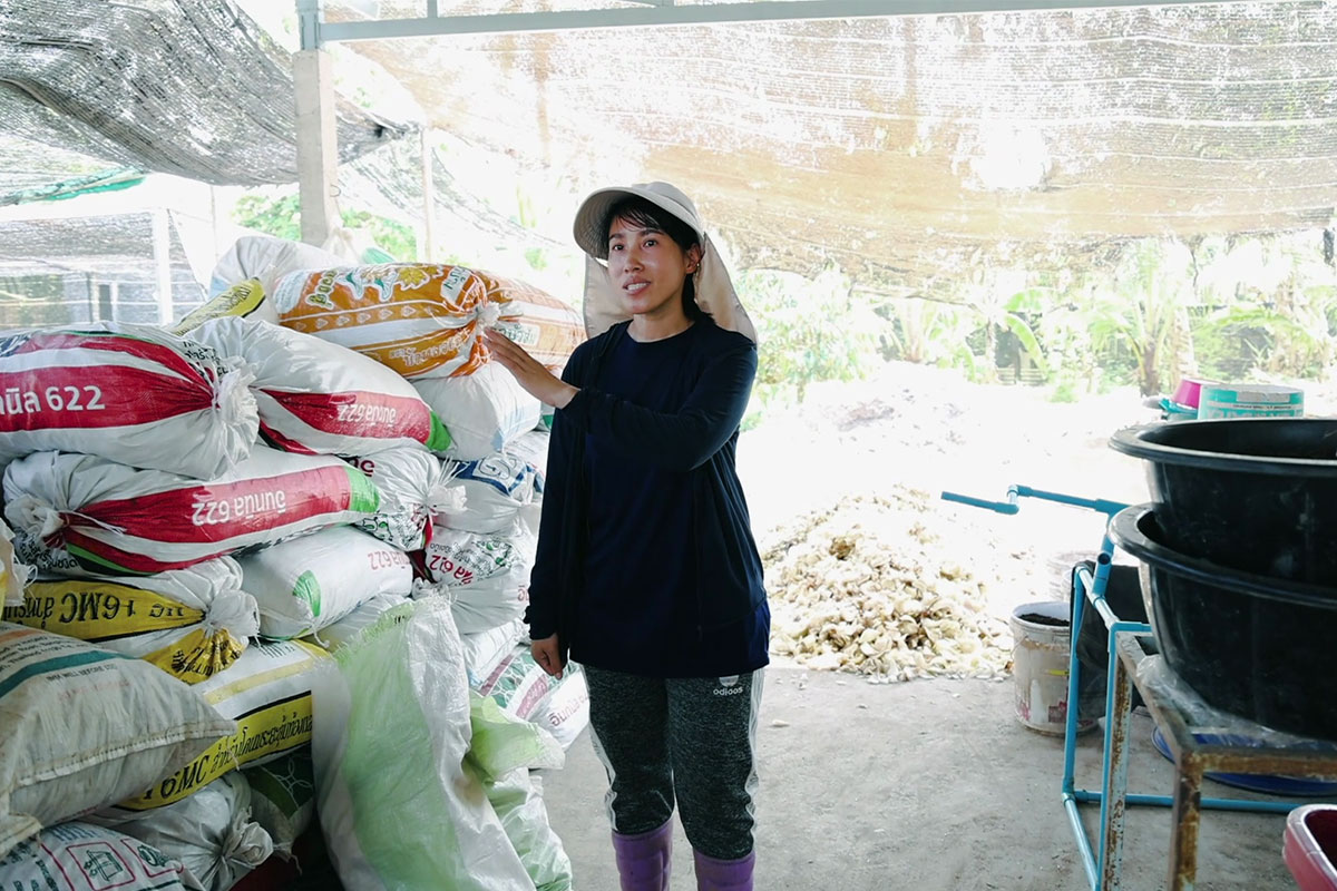 Gallery - IMPACT Farm