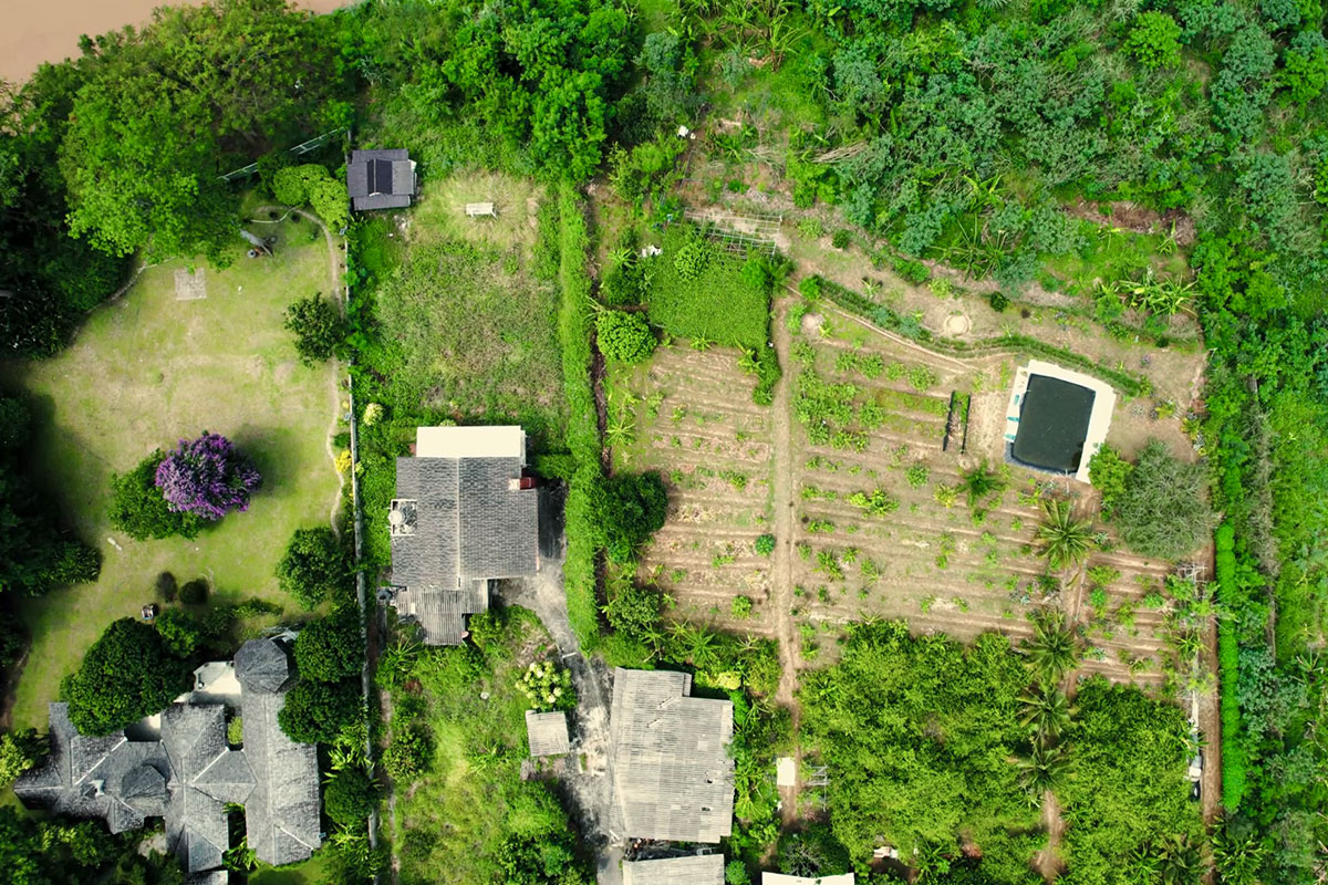 Gallery - IMPACT Farm